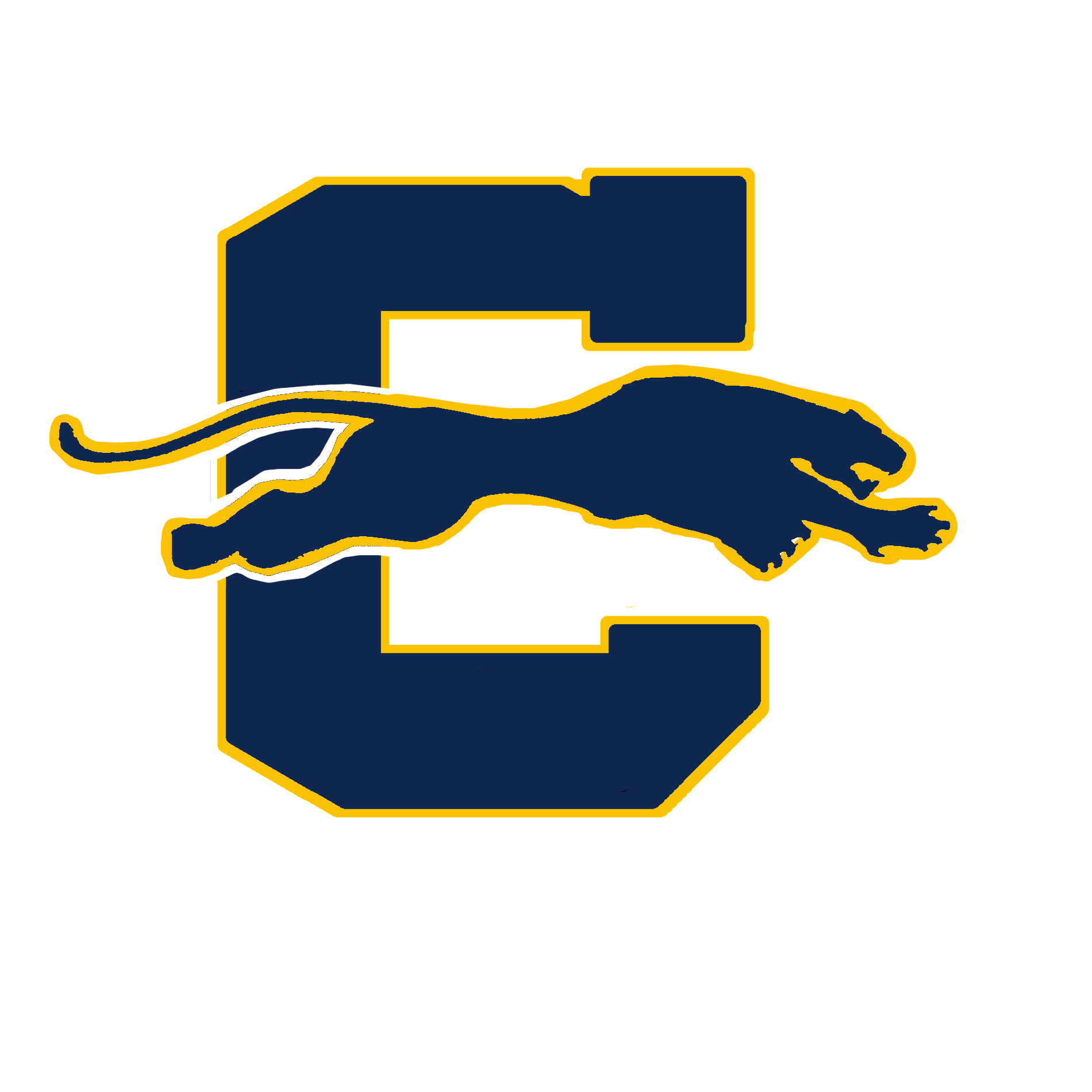 Top 5 AA/A Quarterbacks in WV for 2024 - Coalfields & Co.